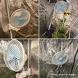 blessny 6 Inch Oscillating Grow Tent Clip on Fan for Pole Mount 0.6-1 inch, 8 Ft Long cord Small growing Monkey Fan Oscillation for Hydroponic, 20W 2-Speed Super quiet with Heavy duty Clamp