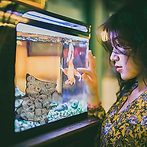 10 Pcs Tanks Filter Media Bags, Aquarium Media Bag, Aquarium Filter Bags, Fish Tank Media Mesh Filter Bags, with Zipper Reusable Aquarium Filter Media Bags.for Activated Carbon, Ceramic Rings, etc