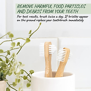 Denture Cleaning Tablets Smokers 120 Bundle with Dentu-Care Bamboo Denture Brush Specifically Designed to Gently Clean Hard to Reach Areas for Full Partial Dentures