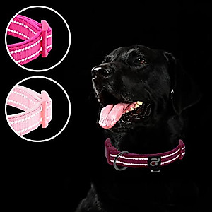 azuza 2 Pack Reflective Soft Neoprene Padded Dog Collars, Adjustable Pet Collar with ID Tag Ring, Safe and Comfy for Small Dogs,Hot Pink/Pink,S