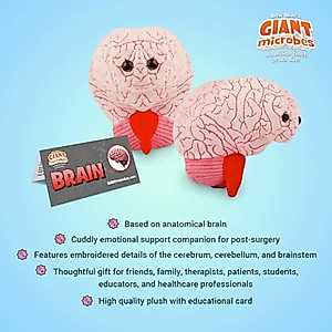GIANTmicrobes Brain Plush, Brain Toy, Brain Stuffed Animal, Brain Gifts For Neurologist, Brain Surgery Recovery Gifts, Neurology Gifts, Neuroscience Gifts, Brain Injury Gift, Brain Decor, Biology Gift