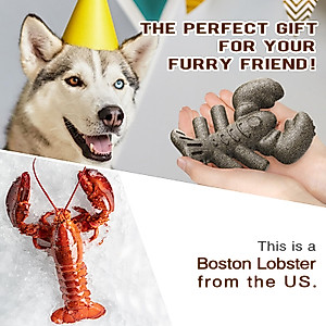 DeBage Dog Chew Toy, Lobster Dog Toy Heavy Duty Durable Chew Toys Indestructible Dog Chew Toys for Aggressive Chewers- Chew, Chase and Fetch for Large Dogs Gift (XL，Wood Color)