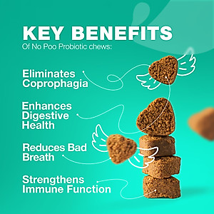 No Poo Chews for Dogs - Coprophagia Deterrent for Dogs - Dog Probiotics for Digestive Health - Forbid for Dogs Stool Eating Deterrent - Digestive, Gut & Immune Health Treats - No Poop Eating for Dogs