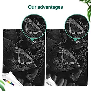 JMLCOLORS Brother TN850 TN820 Toner Replacement for TN-850 TN-820 for HL-L6200DW,MFC-L5700DW, L6200DWT MFC-L5900DW HL-L5200DWT L5200DW L5100DN, MFC-L5800DW MFC-L5850DW L6700DW L6800DW Printer（2-Pack）