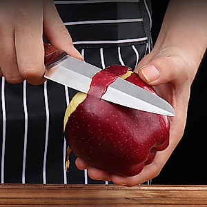 AYANICA Kitchen Knife 4.5 inch Lightweight High Carbon Stainless Steel Sharp Blade Wooden Ergonomic Handle Paring Peeling Fruit Slicing