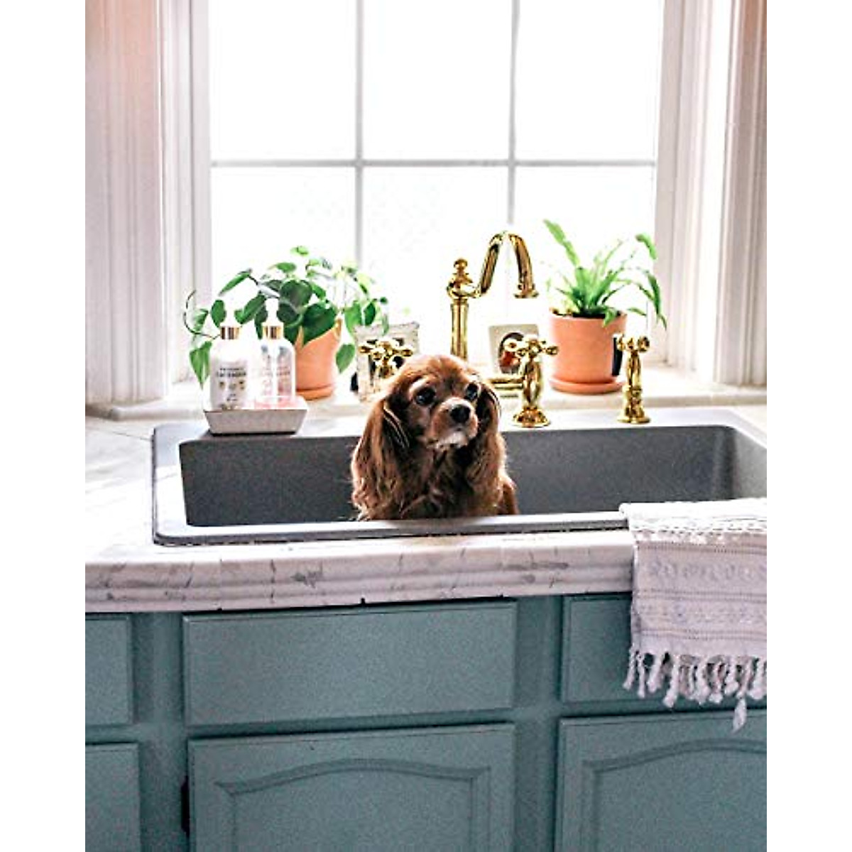 Kingston Brass KS3792AXBS Restoration Bridge Kitchen Faucet, 9", Polished Brass