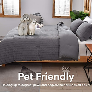 AveLom Seersucker Full Comforter Set (80x90 inches), 3 Pieces - 100% Soft Washed Microfiber Lightweight Comforter with 2 Pillowcases, All Season Down Alternative Comforter Set for Bedding, Gray