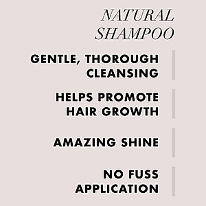 Hanz de Fuko Premium Natural Shampoo & Conditioner Hair Care Kit – High Performance Hair Cleansers, Fights Dandruff & Scalp Irritation – Sulfate and Paraben Free, 16+ Natural Plant Extracts, 8 oz.