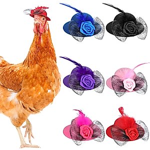 6 Pieces Chicken Hats for Hens Tiny Pets Funny Halloween Accessories Feather Top Hat with Adjustable Elastic Chin Strap Rooster Duck Parrot Poultry Stylish Show Costume (Simple Style)