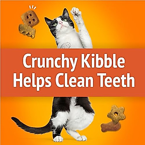 Purina Friskies Cat Treats, Party Mix Original Crunch - 20 oz. Pouch