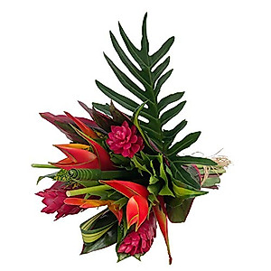 BloomsyBox - Tropical Bouquet Treasure with Bright Heliconias, Pink Ginger and Tropical Greenery (Fresh Cut Flowers)