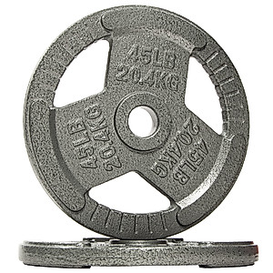 Sporzon! Powergainz Olympic 2-Inch Cast Iron Plate Weight Plate for Strength Training and Weightlifting, Gray POG-2INIP-45X2