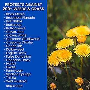 BioAdvanced Lawn Weed Killer, Concentrate, 32 oz