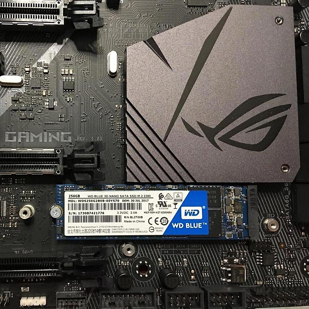 Western Digital 250GB WD Blue 3D NAND Internal PC SSD - SATA III 6 Gb/s, M.2 2280, Up to 550 MB/s - WDS250G2B0B