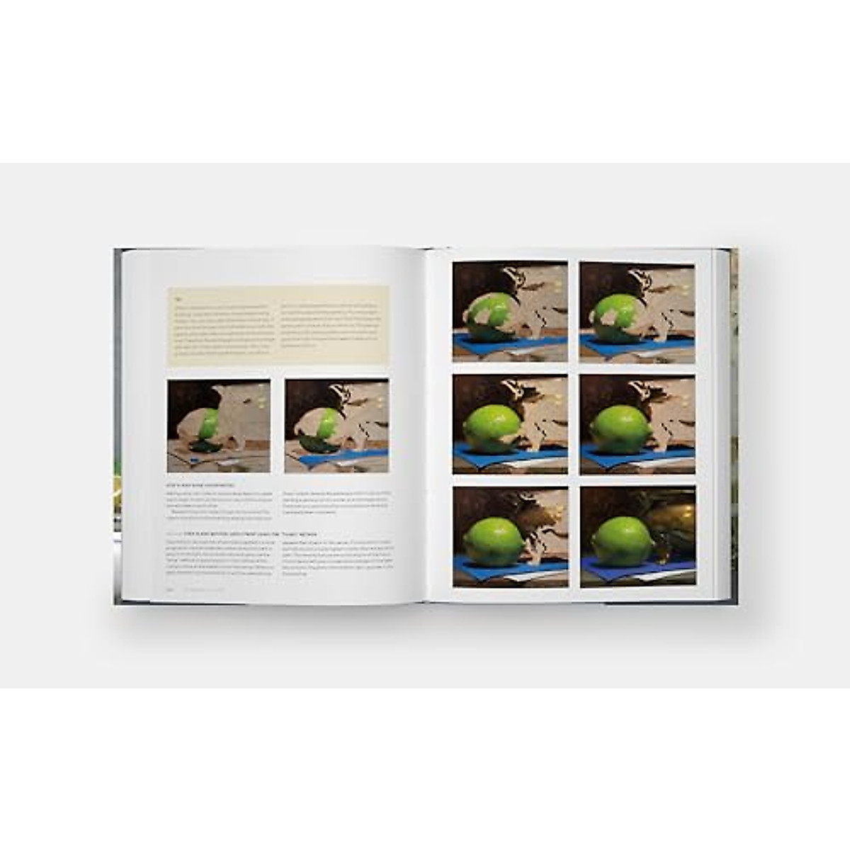 The Art of Still Life: A Contemporary Guide to Classical Techniques, Composition, and Painting in Oil