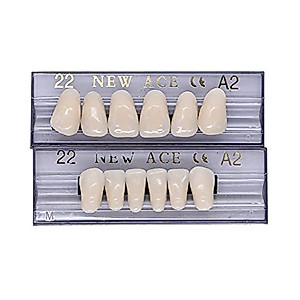 168 Pcs Dental Synthetic Resin Tooth Denture 6 Sets False Teeth 22 A2 Upper Lower Shade Dental for Halloween Horror Teeth (22 A2)