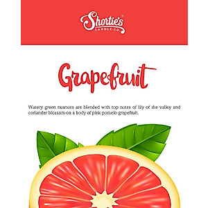 Grapefruit Premium Tealight Candles - Highly Scented with Essential Oils - 6 Pink Tea Lights - Beautiful Candlelight - Made in The USA - Fruit & Berry Collection