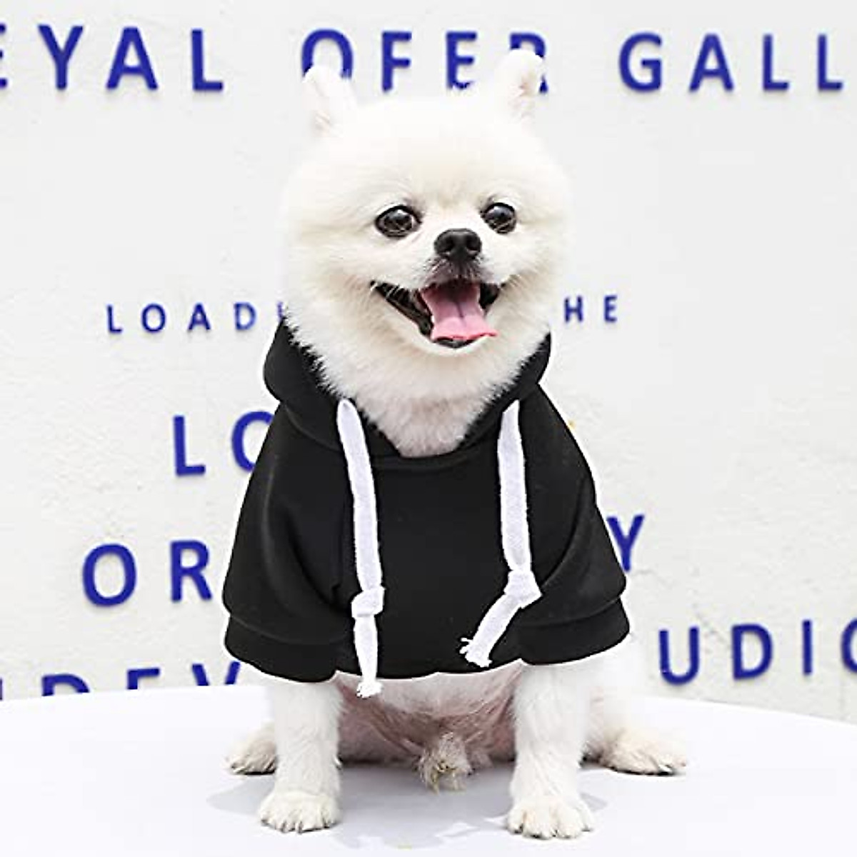 Girl Puppy Sweaters Pet Fleece Zipper Pocket Sweatshirt Blck Dogs Hoodies Cute Pet Clothes