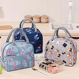 INVODA 4PCS Lunch Bag 4PCS Reusable Portable Lunch Bag Insulated Picnic Bag Cooler and Thermal Lunch Organizer for Work Picnic (4 Patterns)