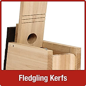 Nature's Way Bird Products CWH3 Cedar Bluebird Box House