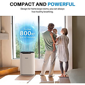 Okaysou AirMax 8L Air Purifier Replacement Active Carbon & Cold Catalyst Filter B