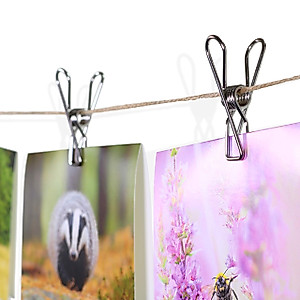 Oakenleaf Clothespins Stainless Steel Will Not Rust 316 Marine Grade 40 Piece Wire Durable Hurricane Proof Clothes Pegs Modern & Eco Friendly 2.3inch - The Forever Peg