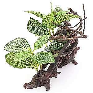 HRRIVE Reptile Rain Forest Ground Plants Decorations for Lizard Snake Bearded Dragon Crested Gecko Amphibian and Terrarium Habitat Decor