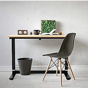 CAXXA Sit Stand Adjustable Height Desk Electric for Home Office (Urban Teak Tabletop, 48" x 24")