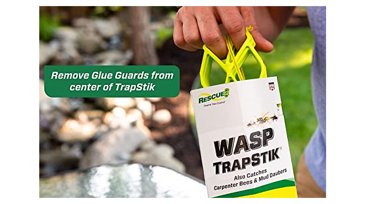 RESCUE! TrapStik 3-Pack for Wasps & Carpenter Bees - Eco-Friendly Pest ...