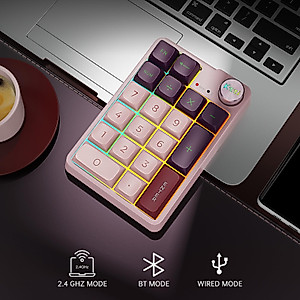Mechanical Wireless Rechargeable Numeric Keypad, Gasket Bluetooth 5.0/2.4ghz/Wired Hot Swappable19 Keys Numpad, with Poron Foam, Aluminum Alloy Knob (Purple-Pink)