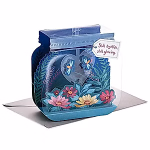 Hallmark Paper Wonder Displayable Pop Up Anniversary Card (Still Glowing)