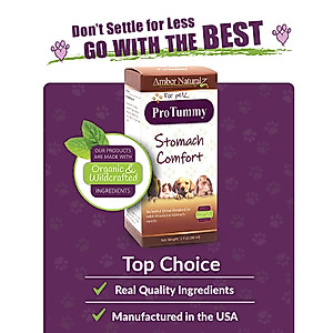 Amber NaturalZ ProTummy Stomach Comfort Herbal Blend for Dogs, Bird, Guinea Pigs, and Rabbits | Herbal Supplement for Occasional Upset Stomach | 1 Fluid Ounce Glass Bottle | Manufactured in The USA
