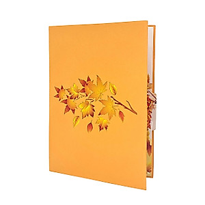 Pop Up Greeting Card Japanese Maple Orange Dream Autumn Card Thank You Birthday Card Nature Card Fall Color Gift Card for Kid Mom Dad Family