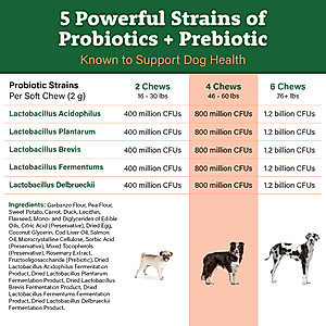 Doggie Dailies Hip and Joint & Probiotic Bundle