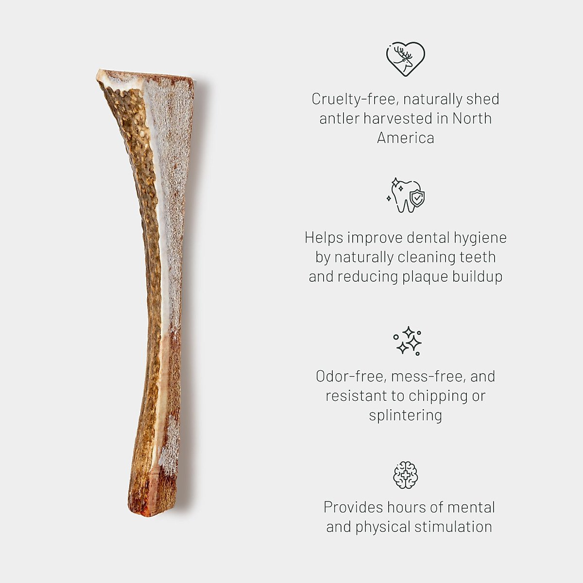 Get Joy Elk Antler Split Natural Dog Chew, Large 5-7 Inches, Odor Free, Long Lasting, Naturally Shed and Harvested in USA