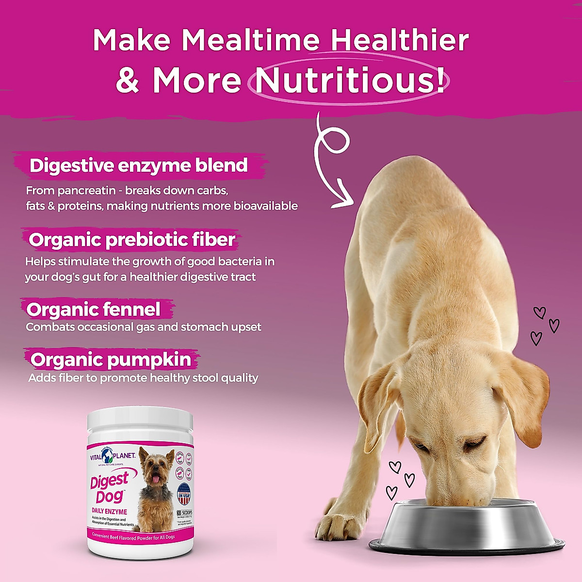 Vital Planet - Digest Dog Digestive Pancreatic Enzyme Blend with Pumpkin and Fennel to Support The Pancreas and Healthy Digestion with Pancreatin, Beef Flavored Powder for Dogs - 111 Grams 30 Scoops