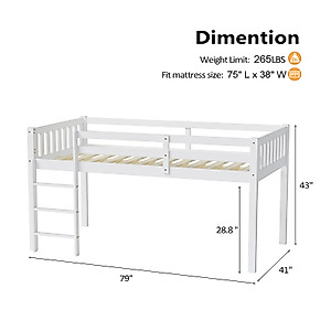 JOYMOR Twin Loft Bed Low Loft Bed Frame for Little Kids Small Room/Low Ceiling Bedrrom with Guardrail and Ladder, White