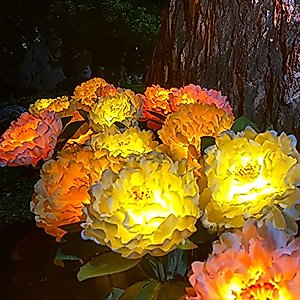 Cmskokm Outdoor Solar Garden Light Yard Decor Garden Decor Solar Flower Lamp Garden Decor Bigger Peony Flower Head Bigger Solar Panel Waterproof Solar Decorative Light for Garden Patio (3 per Box)