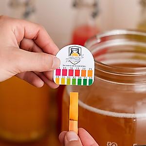 Kombucha Instant Read pH Strips Dispenser - pH Range 0-6 - 15 ft Roll | 180 1" Inch Strips | Single Roll | Food Service, Brewing and Fermentation Test Strips