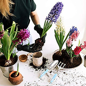 Codirom Garden Tools Set 5PCS Gardening Tools Planting Trowel Garden Shovel Garden Rake Transplant Tools