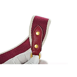 GOXTECH Purse Strap Replacement Crossbody Handbag Stripe Wide Adjustable (Jujube Red bag strap)