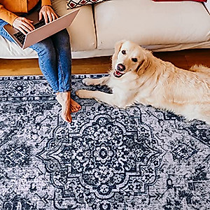 YJ.GWL Boho Area Rug 4x6, Persian Washable Bedroom Rug, Soft Oriental Distressed Accent Rugs for Living Room Dining Room, Non-Slip Non-Shedding Low-Pile Entryway Rug Floor Carpet, Blue
