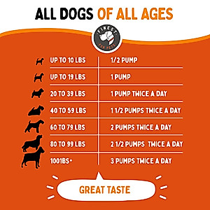 Liquid Glucosamine for Dogs with Chondroitin MSM - Rejenease Hip and Joint Supplement Supports Mobility, Arthritis & Pain Relief (32 oz)