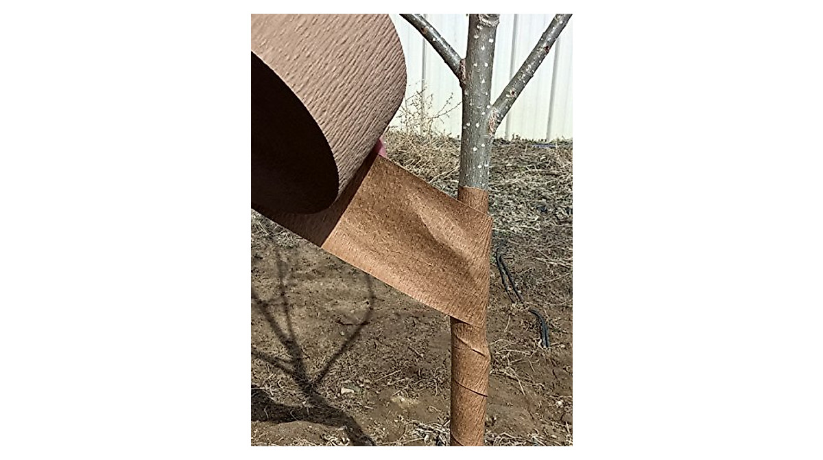 HORT Commercial Grade Tree Wrap - 3" x 50' Roll