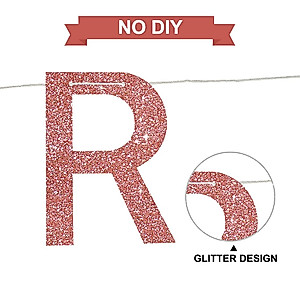 BEISHIDA Pre Strung Glitter RIP Fake ID Banner， Rose Gold Glitter Funny 21st Birthday Garland-No DIY，Rip Fake ID Banner Backdrop for Him，Her
