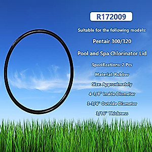 R172009 O-Ring For Pentair Model 300/320 Pool and Spa Chlorinator Lid (2/Pack)