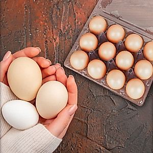 Plastic Egg Cartons Bulk, 40 Packs Empty Clear Plastic Egg Cartons to 12 Eggs, Reusable Chicken Egg Cartons for Family Pasture Chicken Farm, Business Market Display, Storage