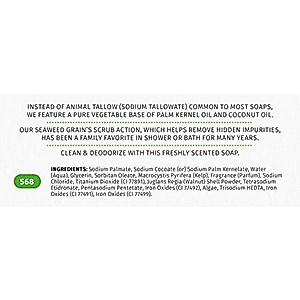 Reviva Seaweed Soap - 6 Pack - Organic Seaweed Face Scrub and Exfoliating Body Scrub Soap Bar - 4.5 oz. Vegetable Base Natural Bar Soap and Seaweed Bath Detox Soap Made in the USA