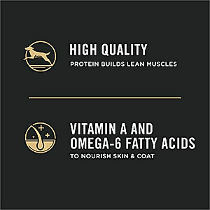 Purina Pro Plan High Protein Puppy Food DHA Lamb & Rice Formula - 34 lb. Bag