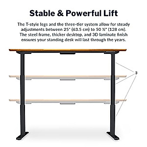 Vari- Standing Desk Adjustable Height (48" x30')- Electric Sit-Stand Computer Desk for Work or Home Office- Dual Motor with Memory Presets- Adjustable Desk from Varidesk- Black
